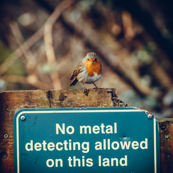 Code of Conduct - National Council for Metal Detecting
